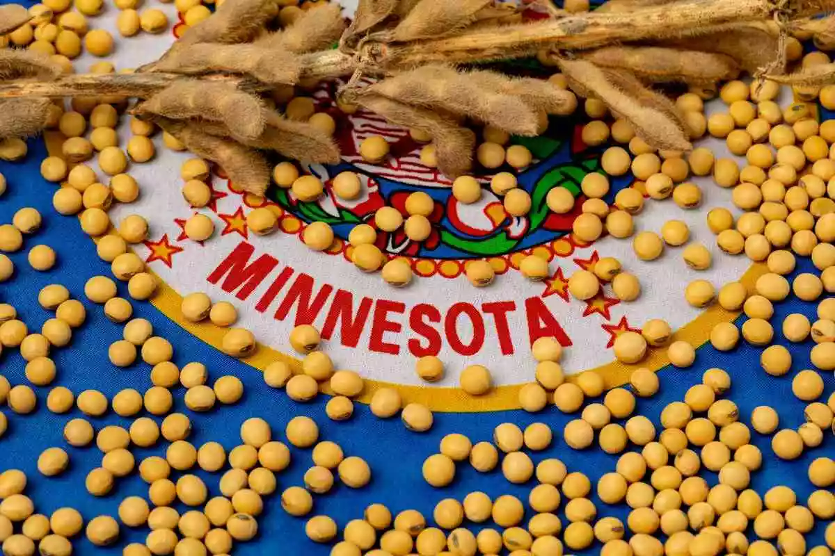 Polymarket Sues Minnesota over Prediction Market Criminalization