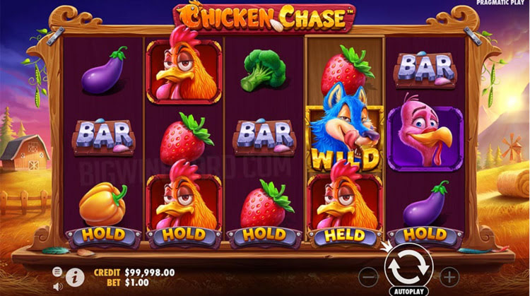 Stake.us Chicken Game: How to Play It & How it Works in 2025